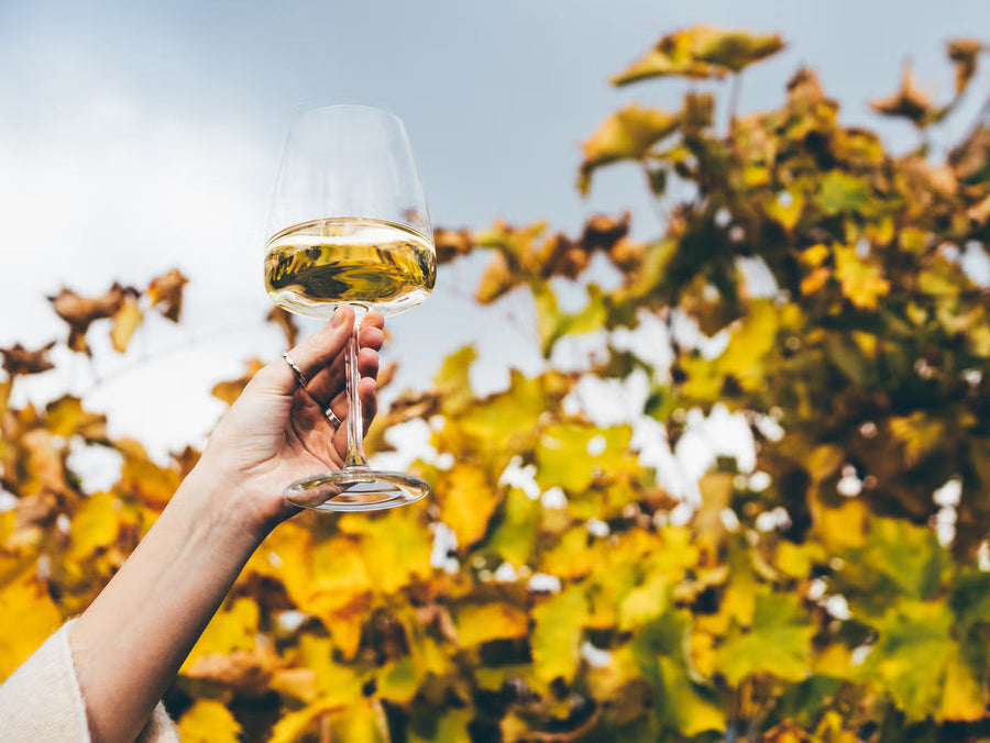 Delish magazine Loves Noughty - Here's it's Guide for Best NA Wines Th ...